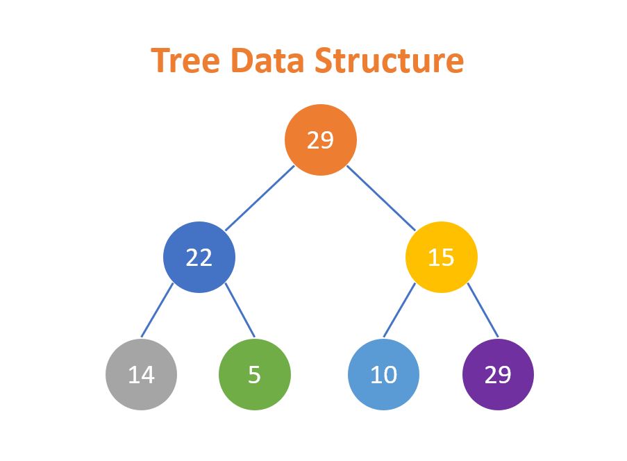 Tree Data Structures 1 ITPEC Studio